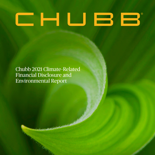 Citizenship Reports | Chubb